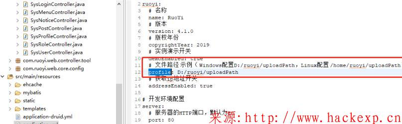 RuoYi CMS 任意文件读取 - Wiki